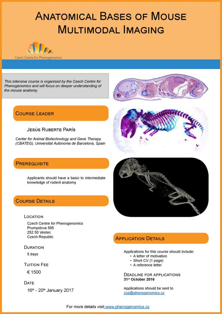 Anatomical Bases of Mouse Multimodal Imaging Course - registration ...