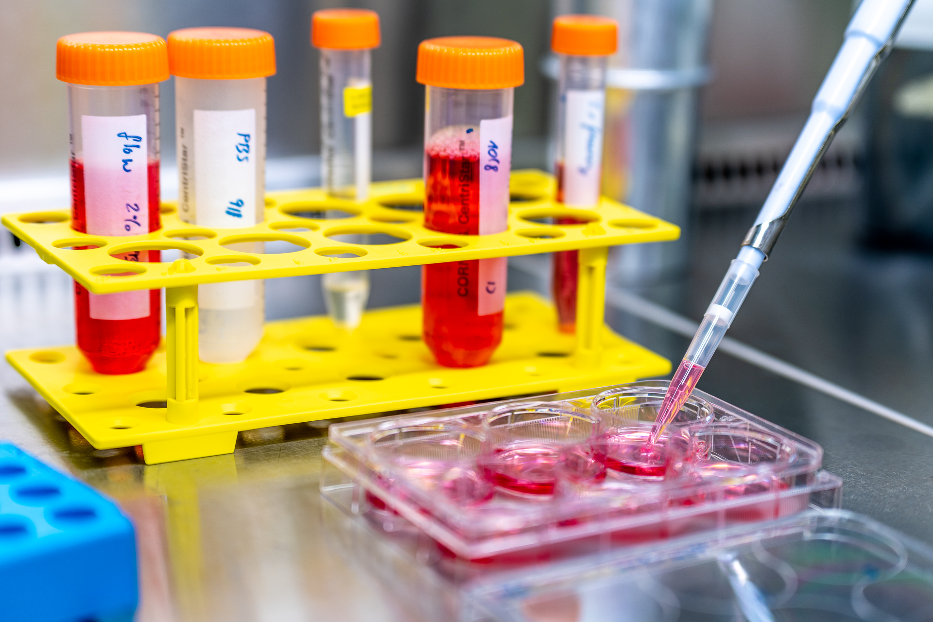 Virology and Antiviral Therapy - Czech Centre for Phenogenomics