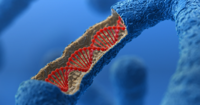 Czech Centre for Phenogenomics - Institute of Molecular Genetics of the Czech Academy of Sciences